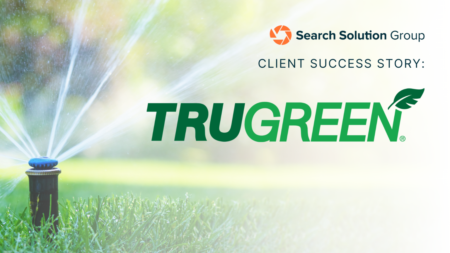 Search Solution Group - Headhunting & Executive Recruitment